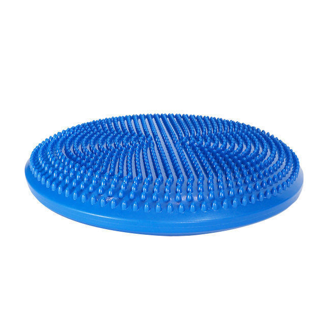 Core muscle development tool - balance and wobble exercise disc for ...
